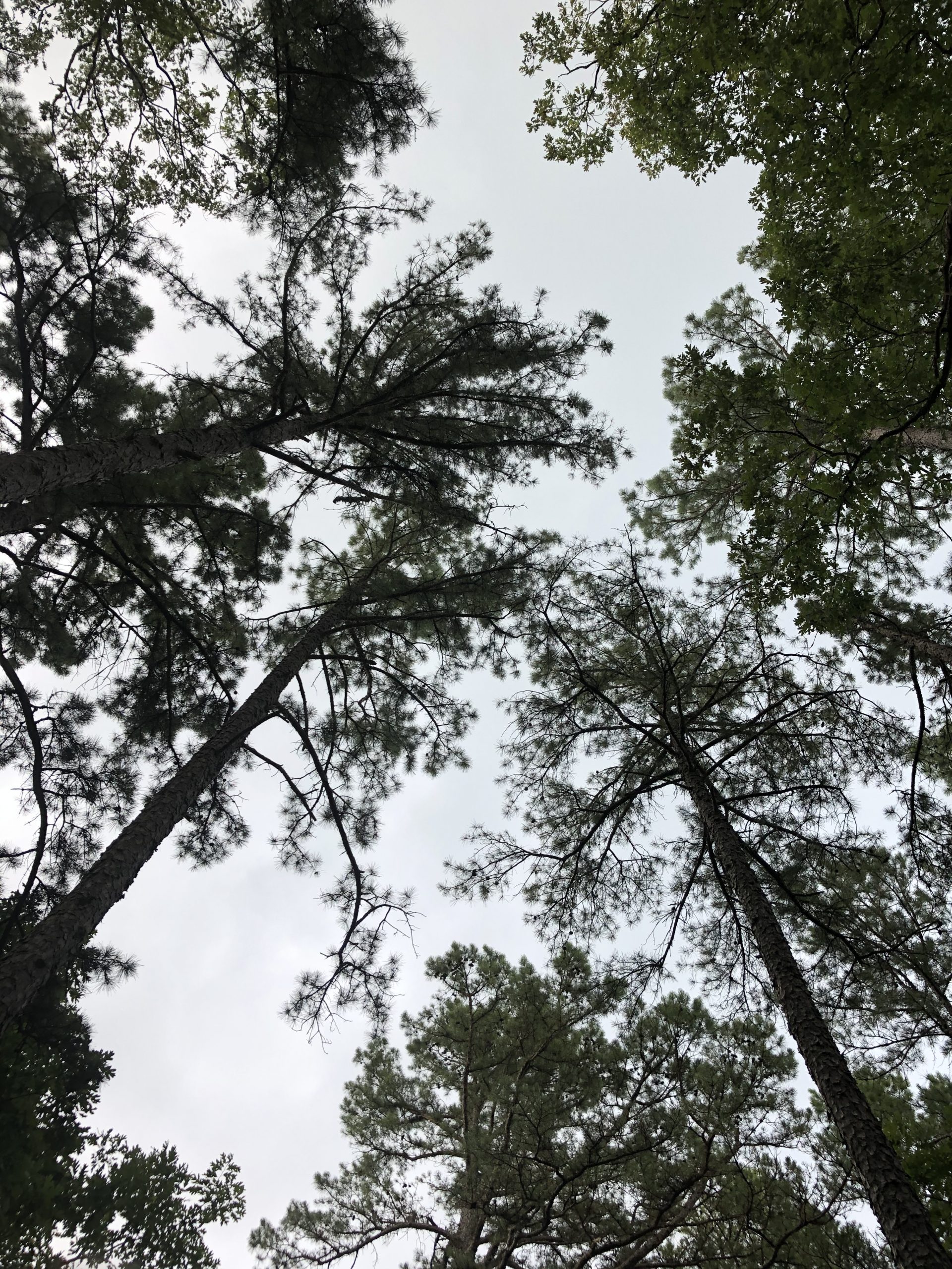 Worth all the pain – Patrick Dobson